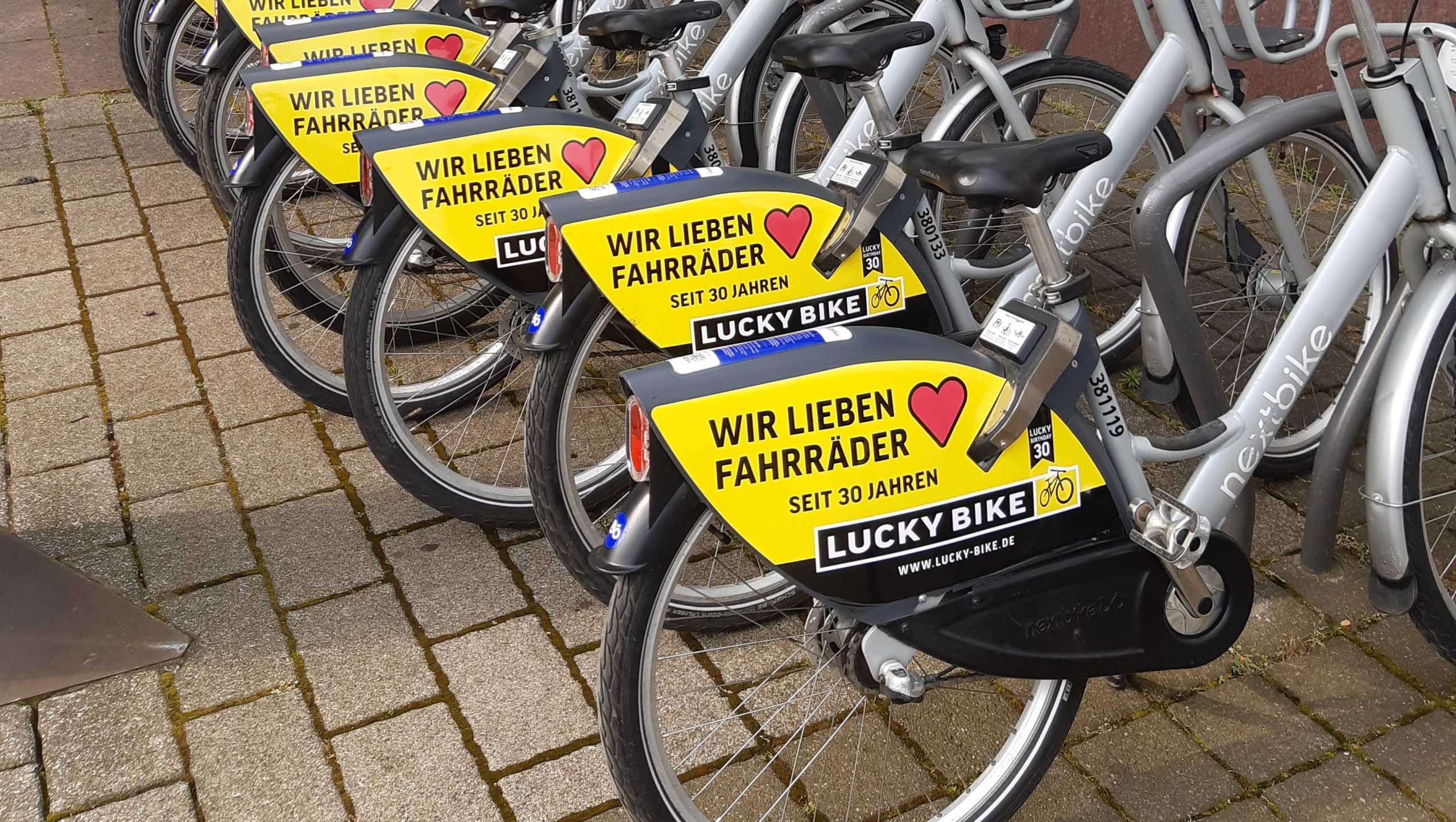 Lucky Bike's successful Adbike campaign: 30 years of passion for bikes ...